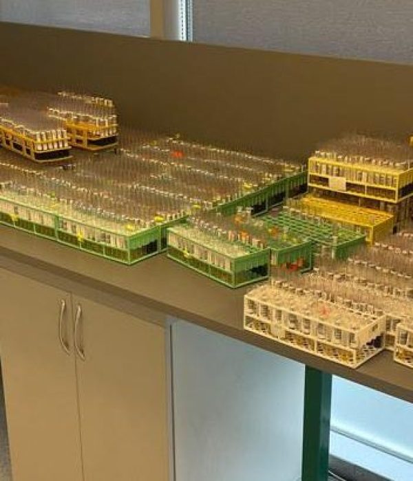 NovaticLab Case study: A Success Story with E. Gulbja Laboratory - NovaticLab